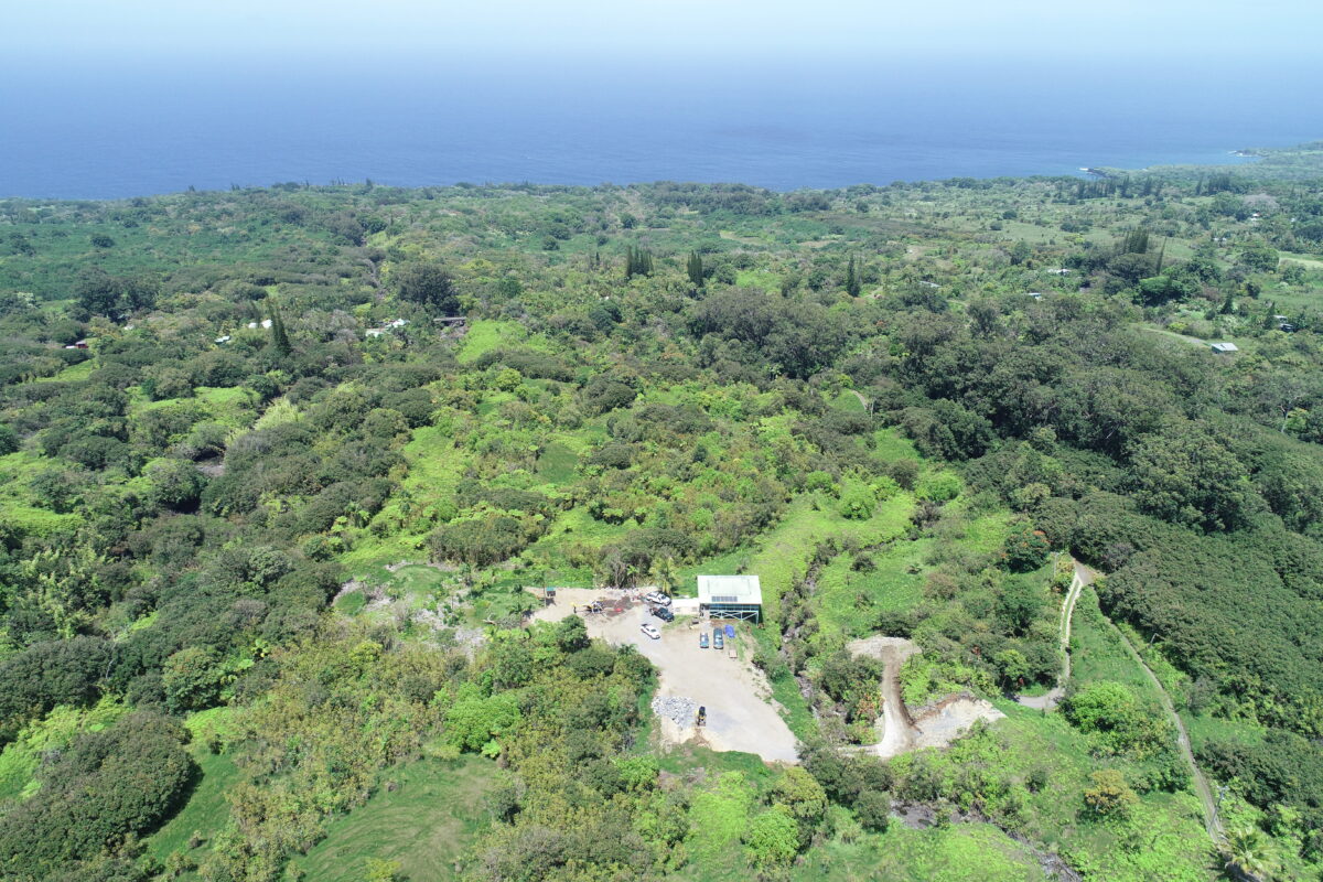 A 175-acre little fire ant infestation on Maui has reached a turning point; eradication is in sight