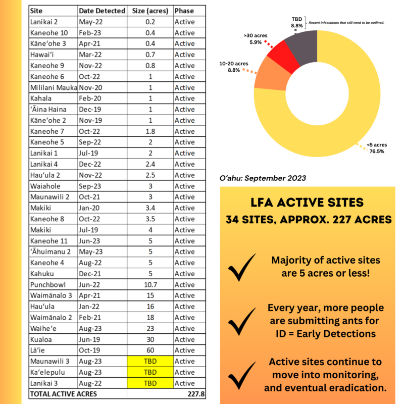 Little Fire Ants on Oʻahu